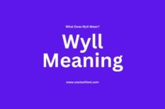 What Does Wyll Mean? Understanding the Trending Slang Term - Coolest Font