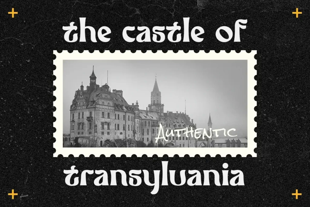 25+ Best Fonts for CD Covers to Elevate Your Album Design - Coolest Font